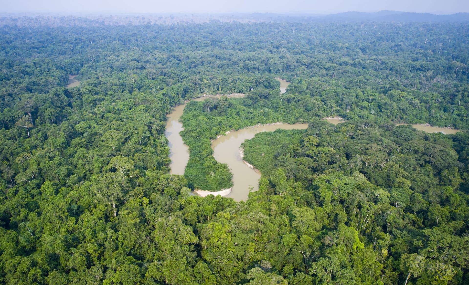 Pará investe em recuperação florestal